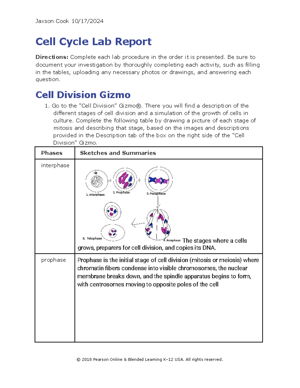 Cell Cycle Lab - Assignment - Jaxson Cook 10/17/ Cell Cycle Lab Report ...