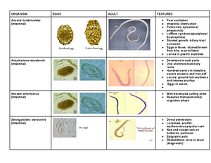 Comprehensive Guide to Specimen Collection Techniques in Medical Labs ...