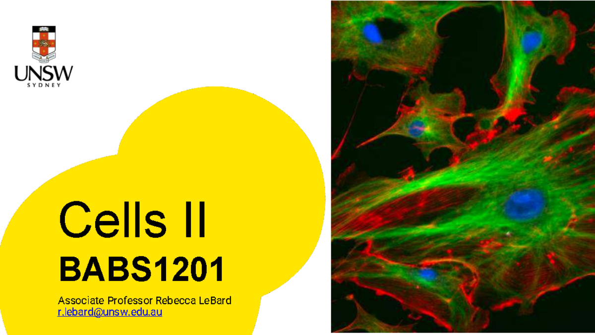 BABS1201 Week 2 Lecture: Eukaryotic & Bacterial Cell Structures - Studocu