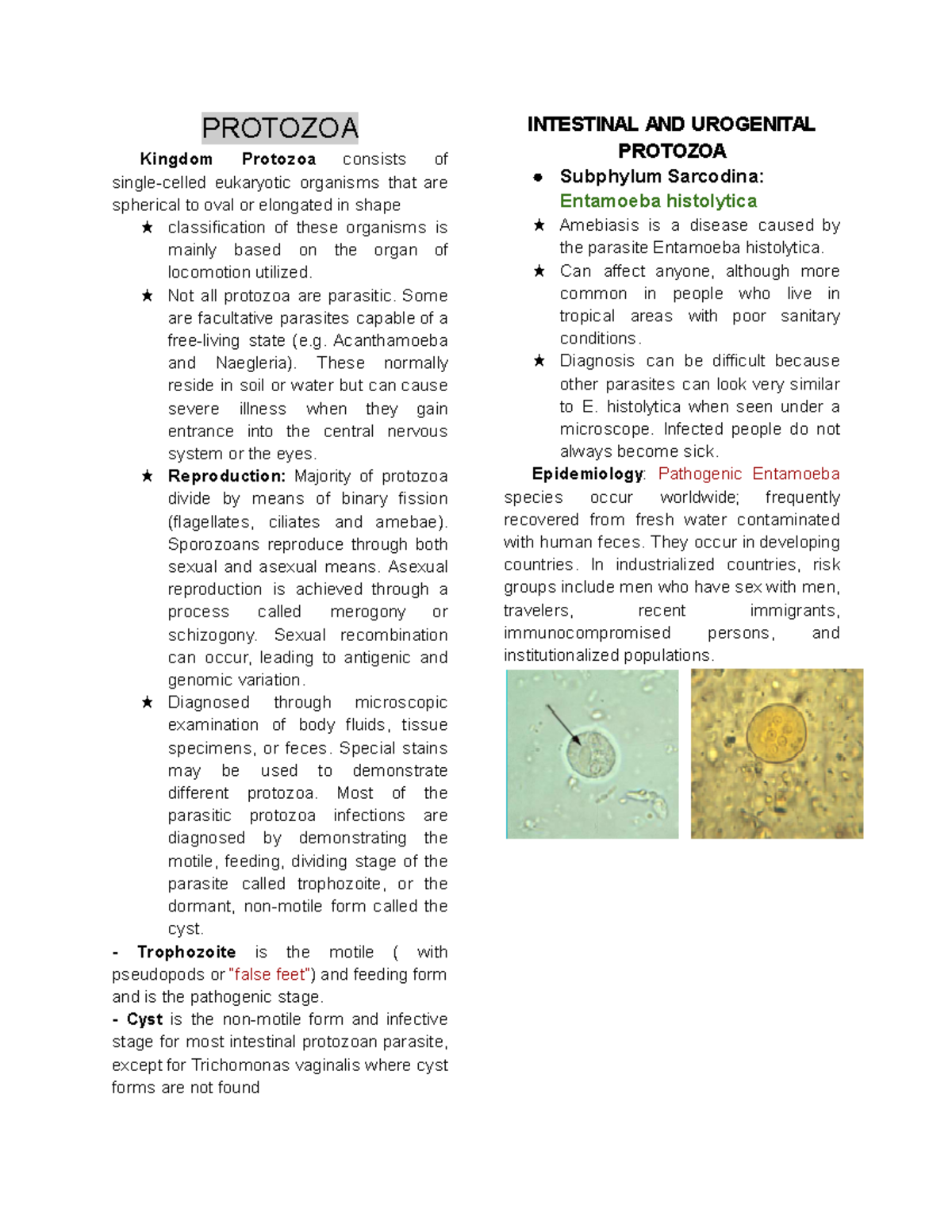 MICP Reviewer WEEK 14 Introduction TO Protozoa - PROTOZOA Kingdom ...