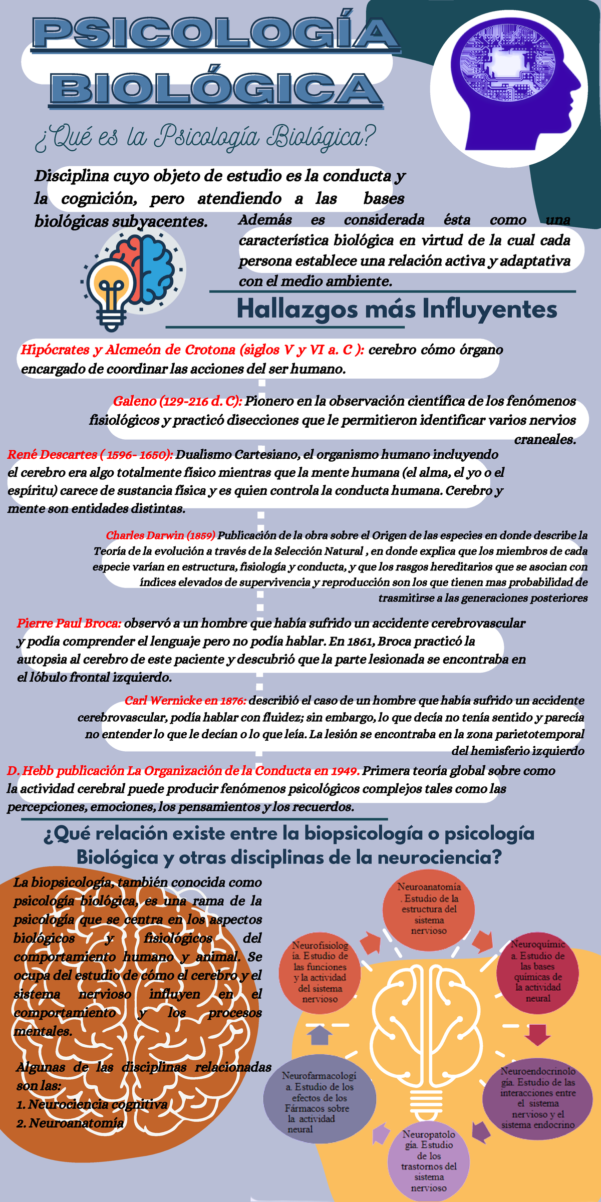 Tarea Académica 1- Infografía - ¿Qué relación existe entre la biopsicología o psicología ...