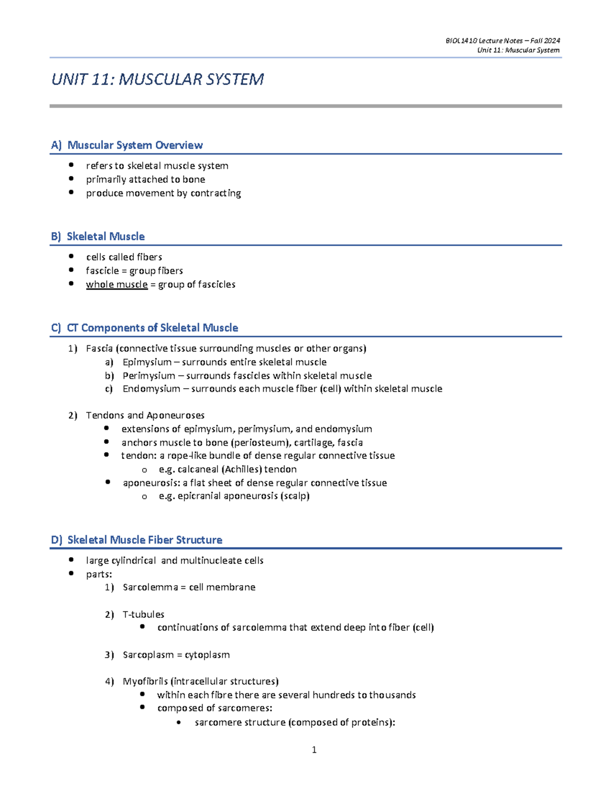 BIOL1410 Lecture Notes Fall 2024: Unit 11 - Muscular System Overview ...