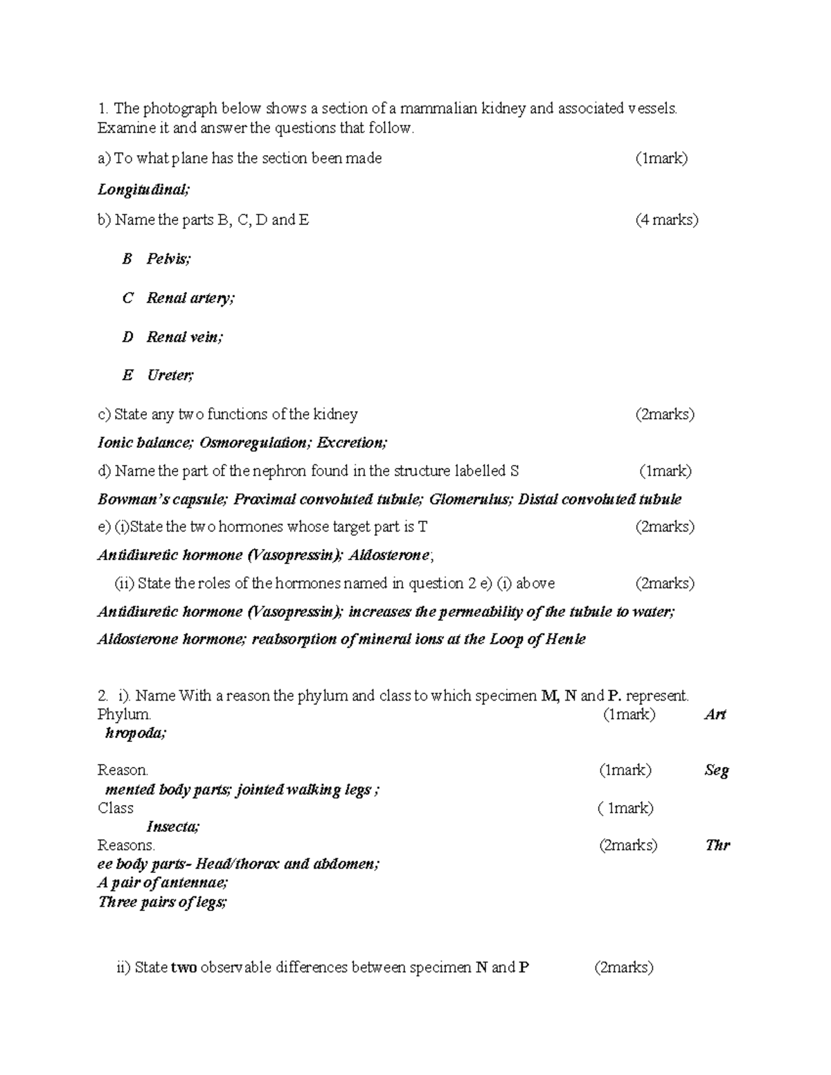 1 - Mammalian Kidney Structure & Function Exam (Bio 101) - Studocu