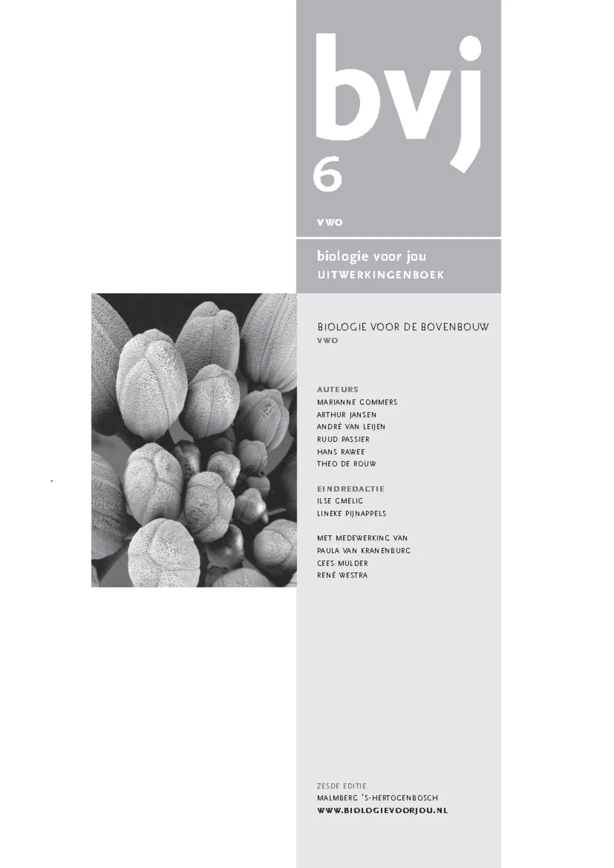 BIO202 - Overzicht van Celonderdelen en Hun Functies - Studeersnel