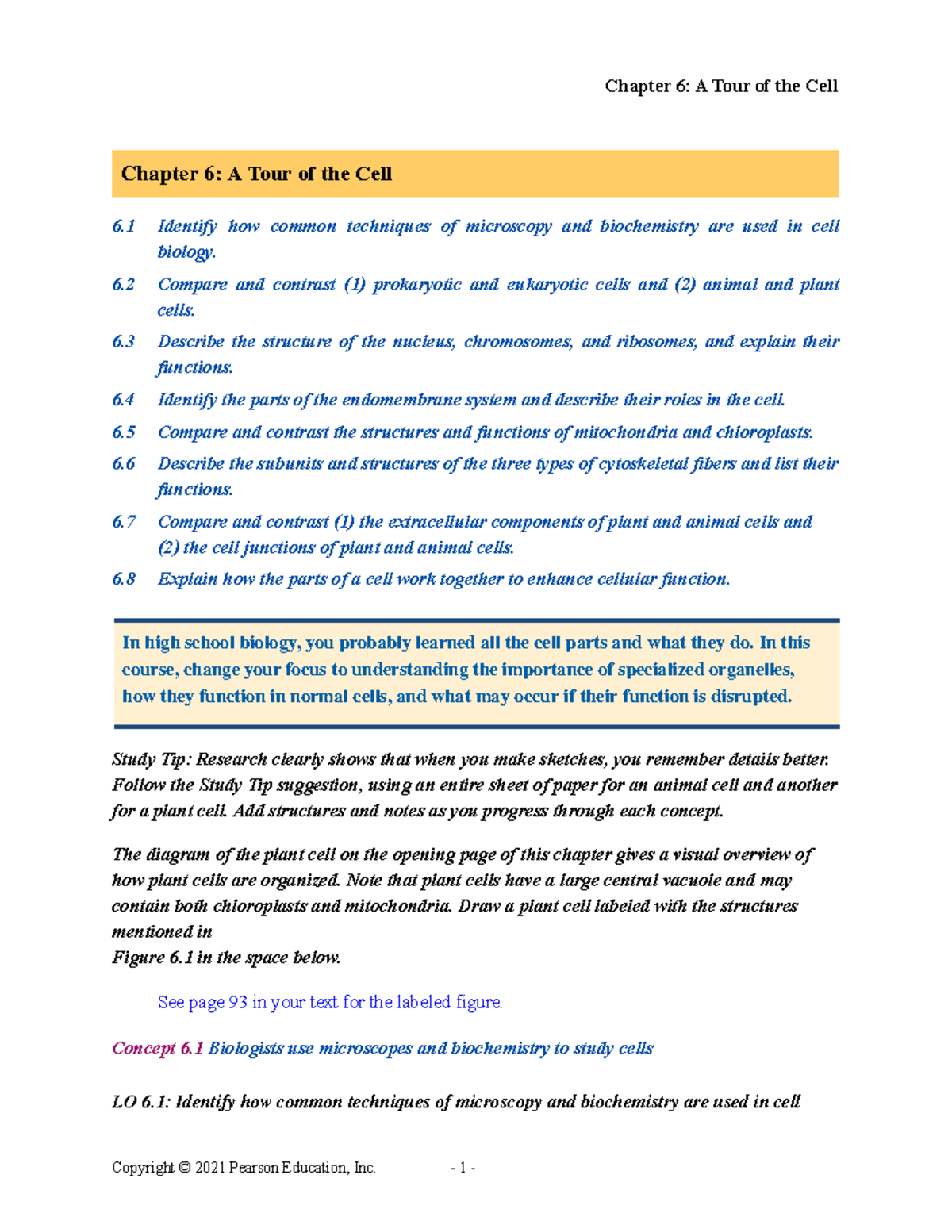 A35D1E6E 8E60 4112 9581 700DC63F27EB: Chapter 6 - Understanding Cell ...