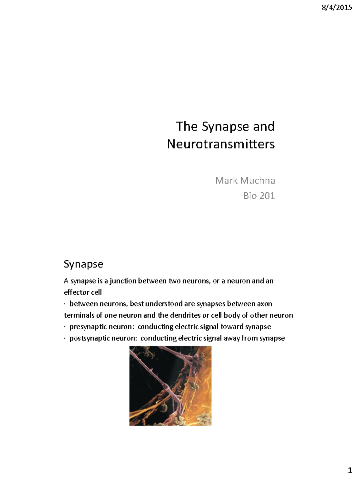 Biology 201: Synapses and Neurotransmitters Overview - Studocu
