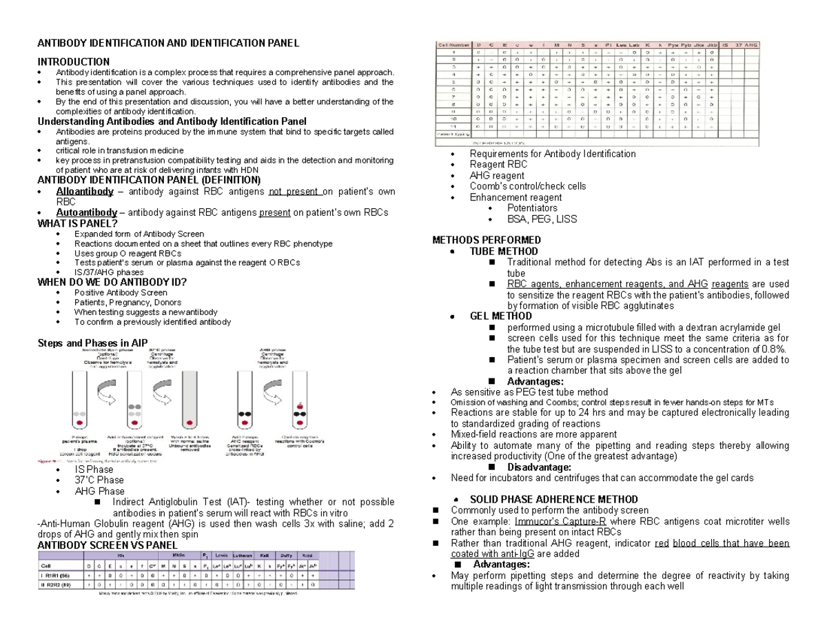 Antibody Identification Techniques and Panel Overview for AIP - Studocu