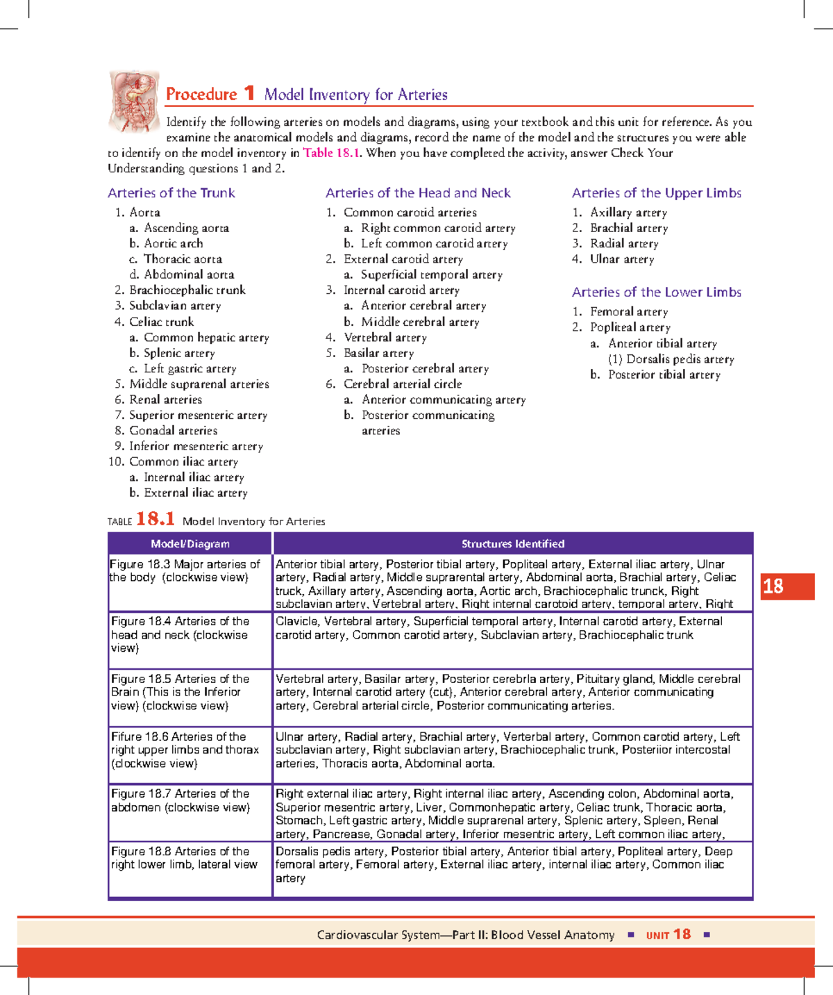 Unit 18 Exercise 18-1 Procedure 1 - Cardiovascular System—Part II ...