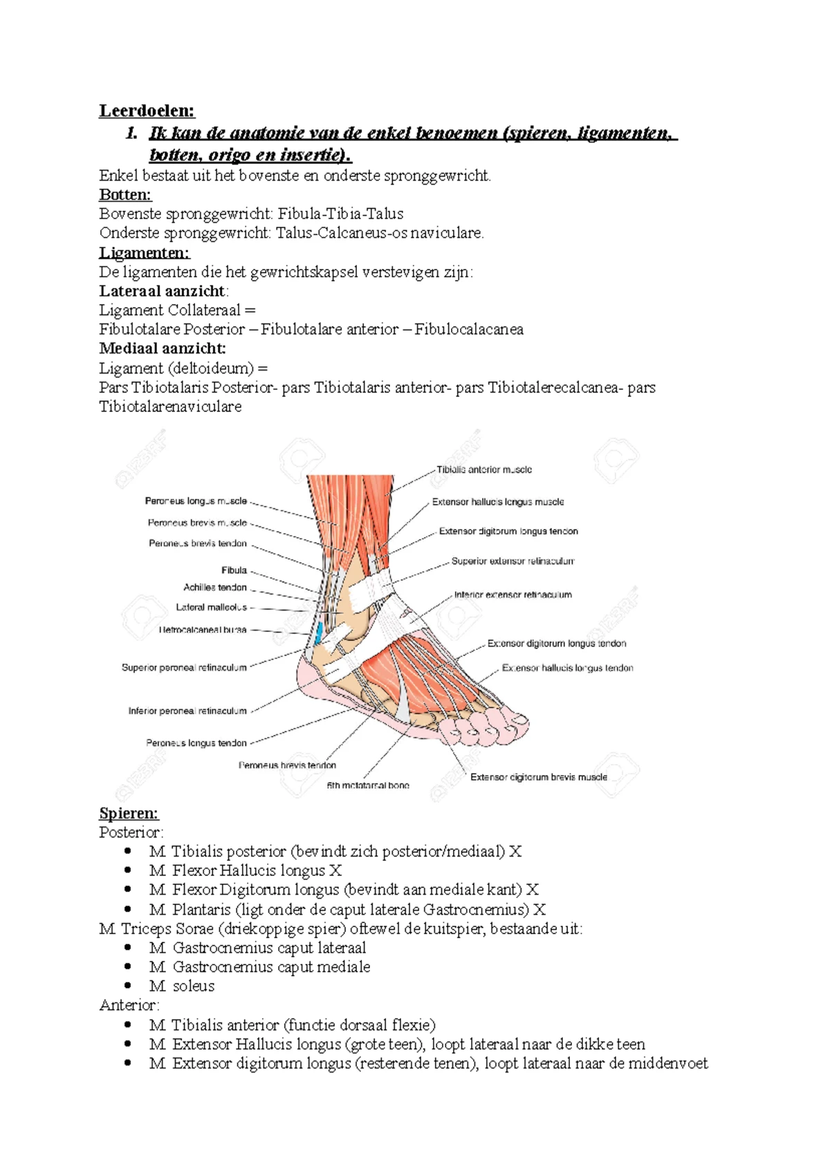 Anatomie rug - (wervelkolom) - Bewegingsmogelijkheden Beweging Uitslag ...