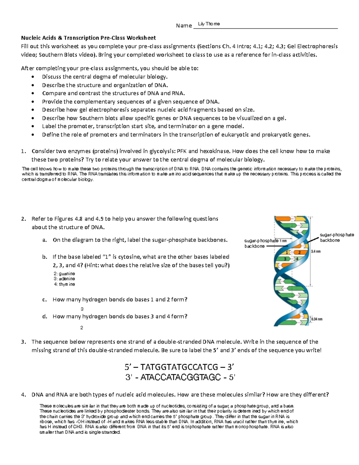 Week 5a Pre-Class Reading Guide - Nucleic Acids & Transcription ...
