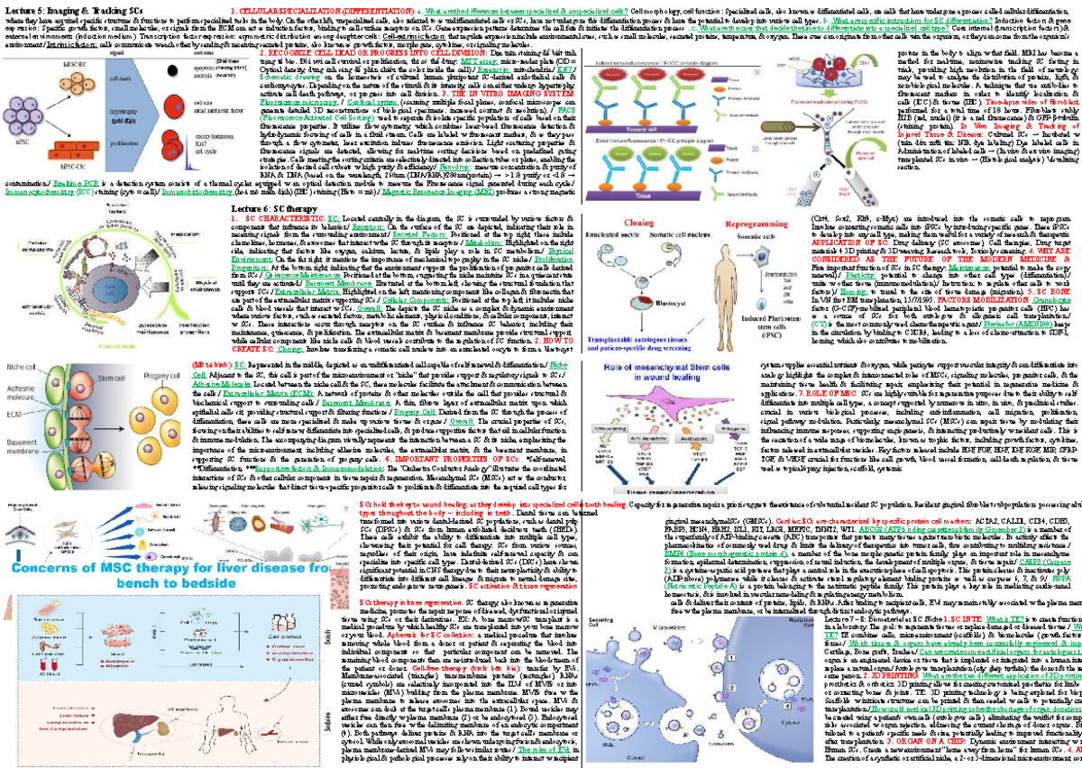 Stem Cell Final Exam: Lecture Insights on SC Differentiation and ...