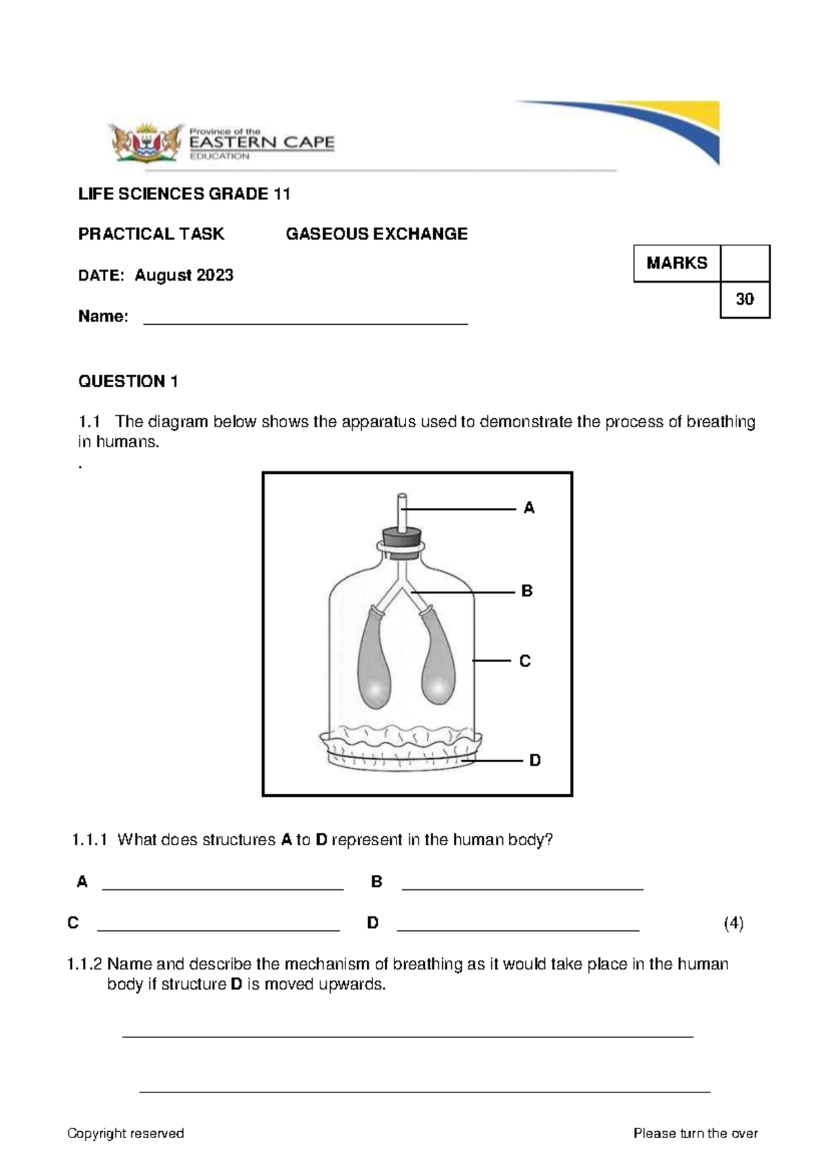 Grade 11 Life Sciences Term 3 Practical on Gaseous Exchange - Studocu