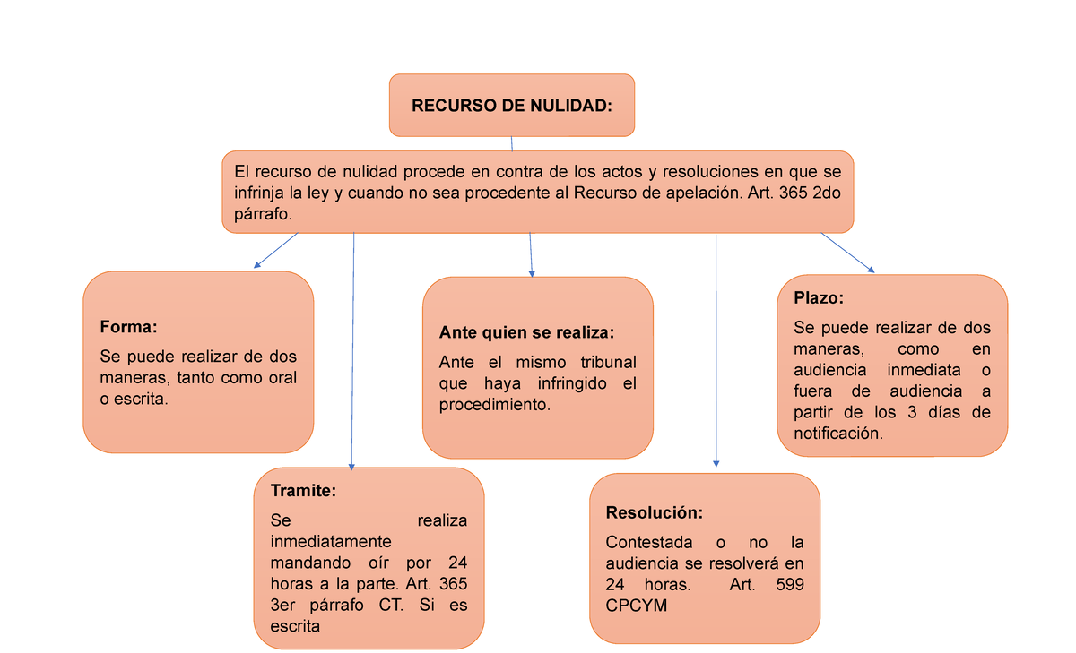 Recursos de Nulidad y Apelación: Procedimientos y Plazos Esenciales - Studocu