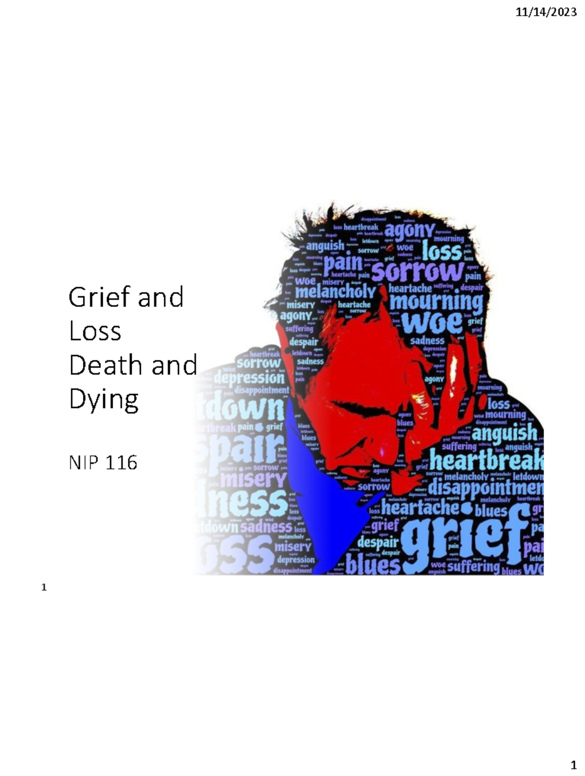 Grief and Loss: Understanding Death and Dying in NIP 116 - Grief and ...