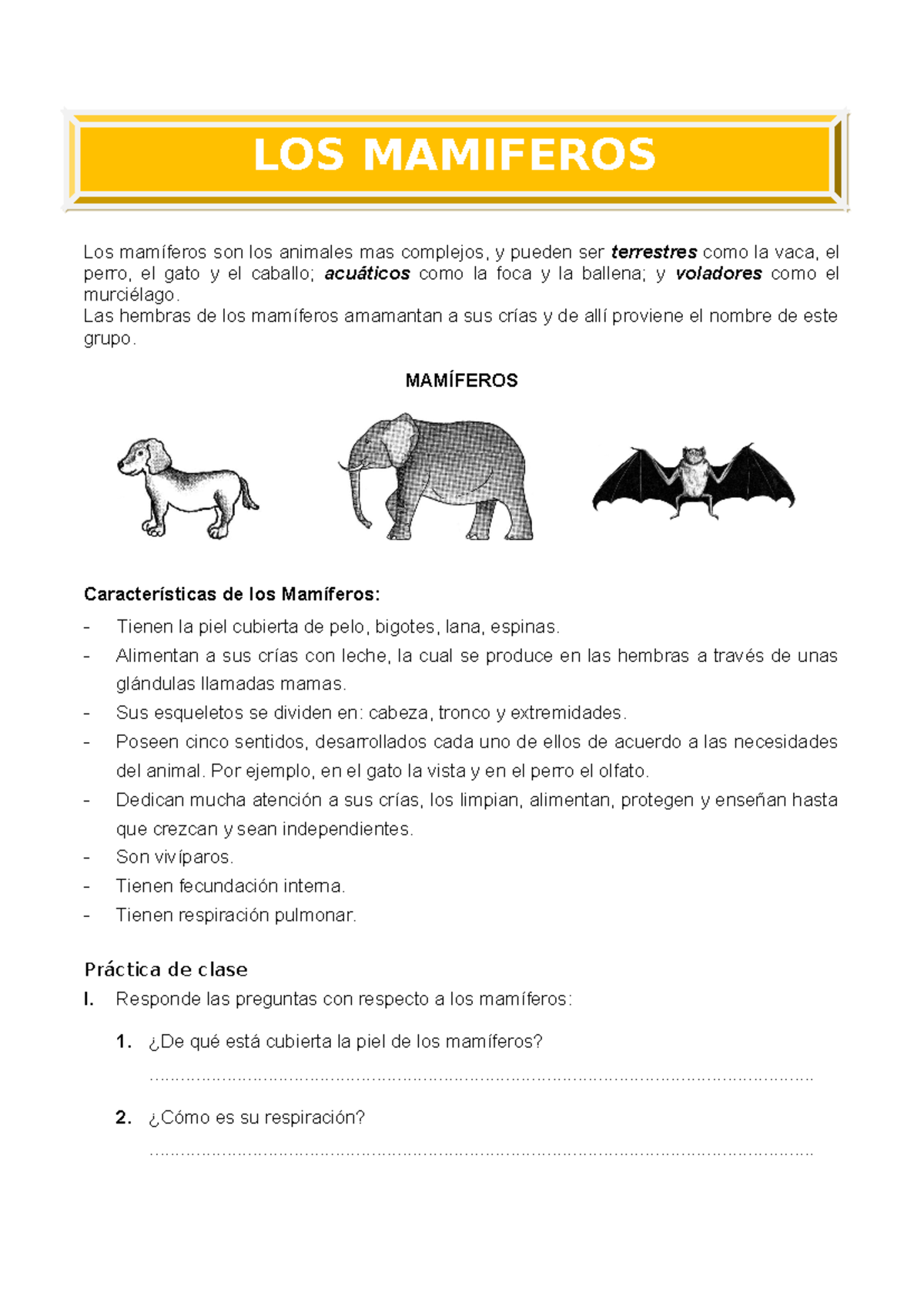 Fichas De Trabajo Sobre Mamíferos Para Segundo Grado Animales