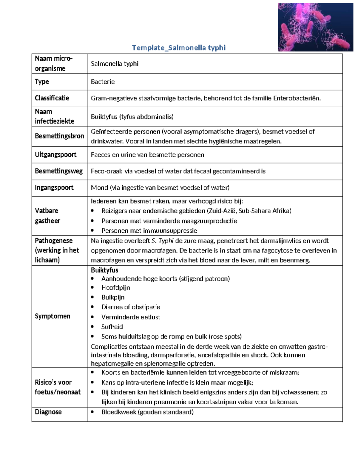 Template voor Salmonella typhi: Informatie over Buiktyfus - Studocu