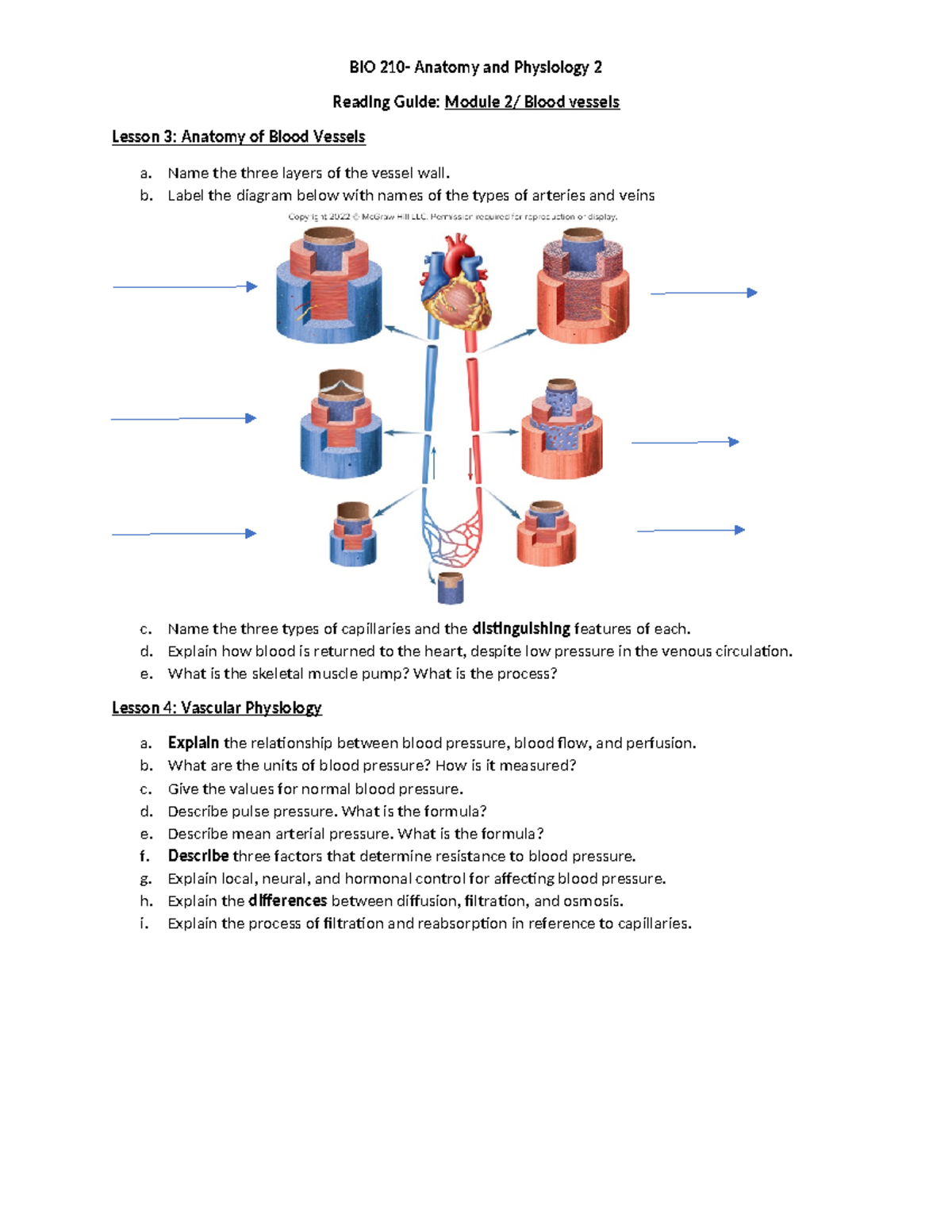 BIO 2 Anatomy & Physiology Reading Guide: Blood Vessels Lessons 3-5 - Studocu