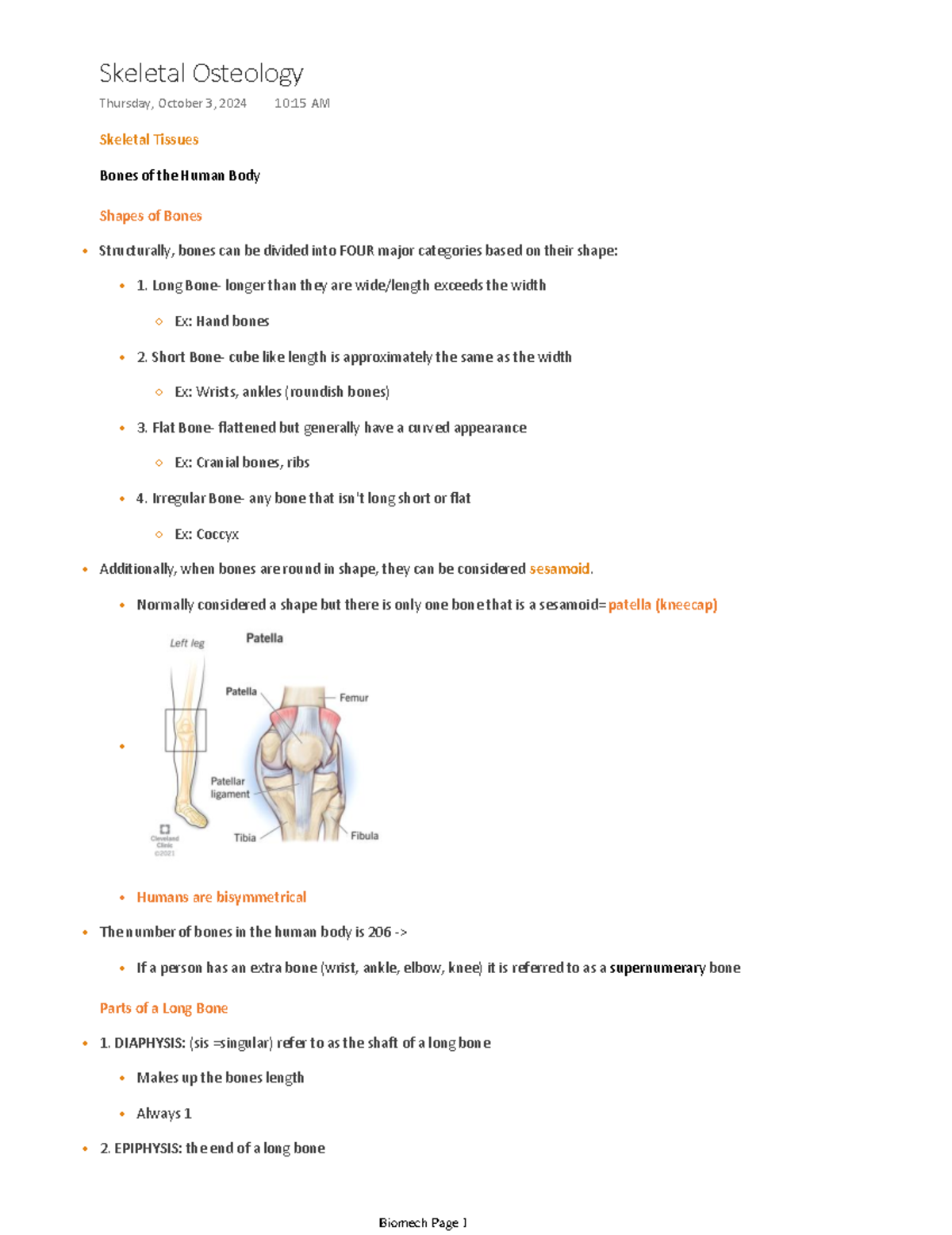 Human Skeletal Anatomy: Detailed Overview of Bone Structure and Function - Studocu