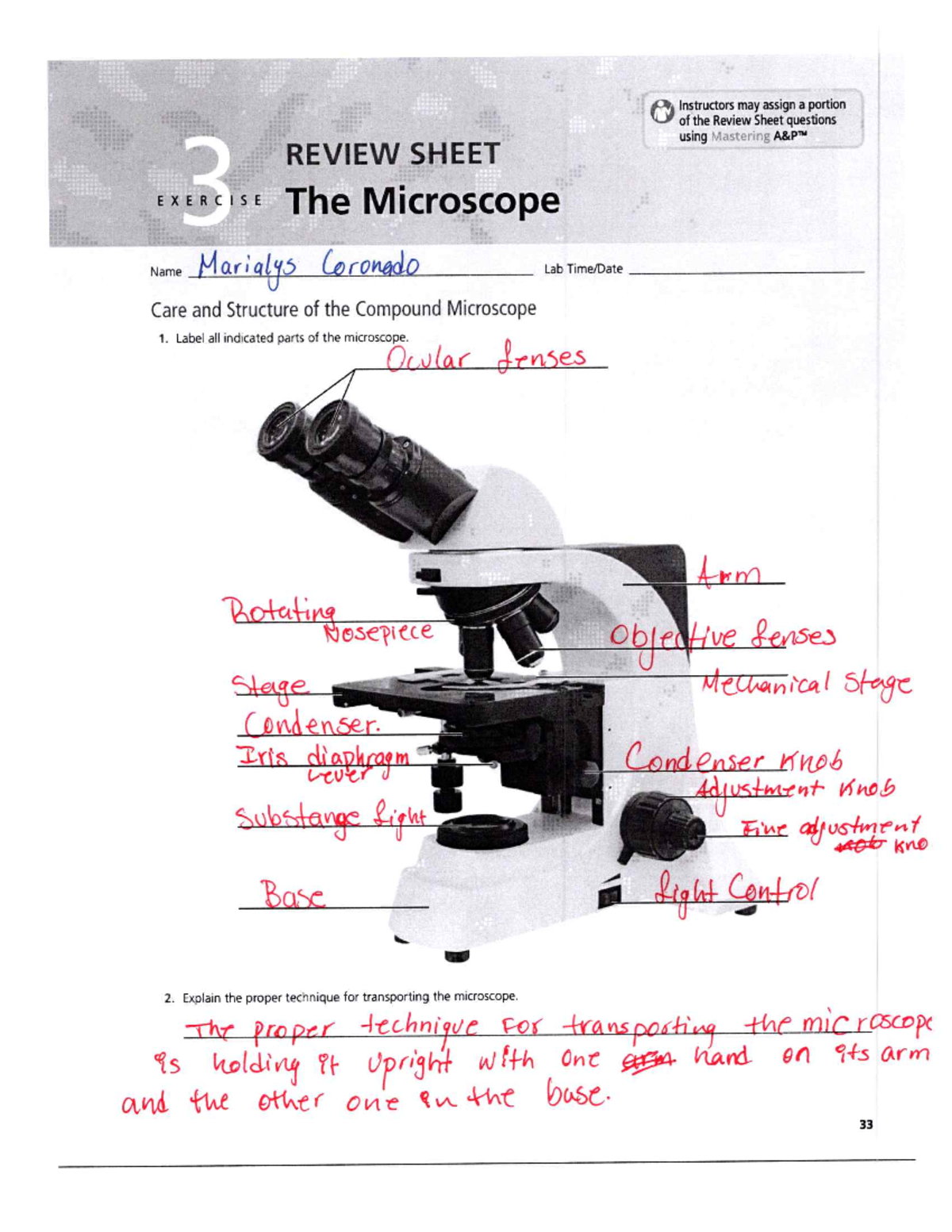 Microscopy Insights: Review Sheet 3 Answer Key - Studocu