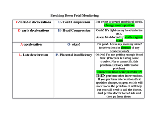 4. VPP - Resumen Reanimacion Neonatal / Neonatal Resuscitation ...
