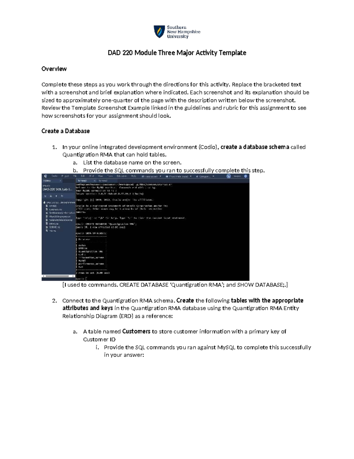 DAD 220 Module Three Major Activity - Replace the bracketed text with a screenshot and brief ...