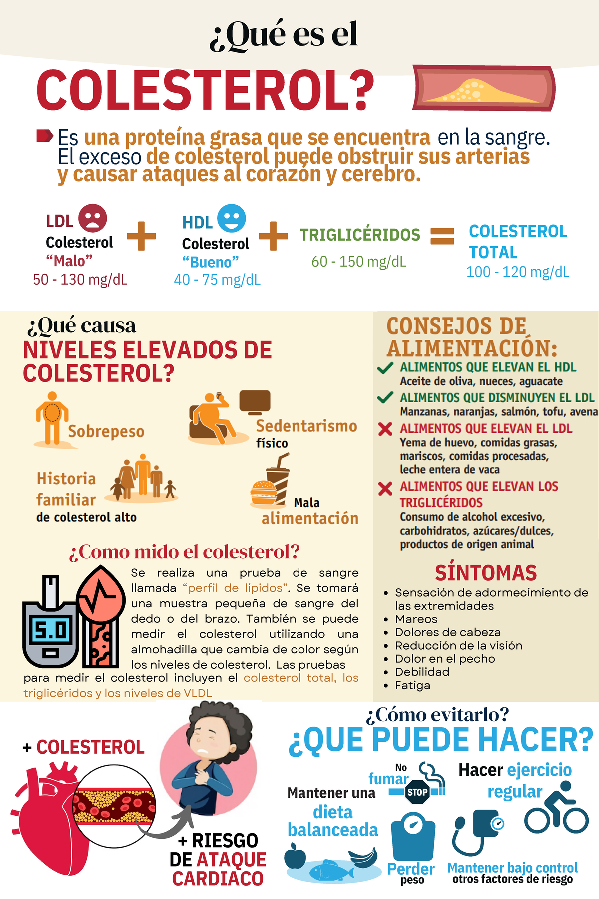 Coleesterol E6 6BVLC - Es El exceso y causar ataques al corazón y cerebro. una proteína grasa ...