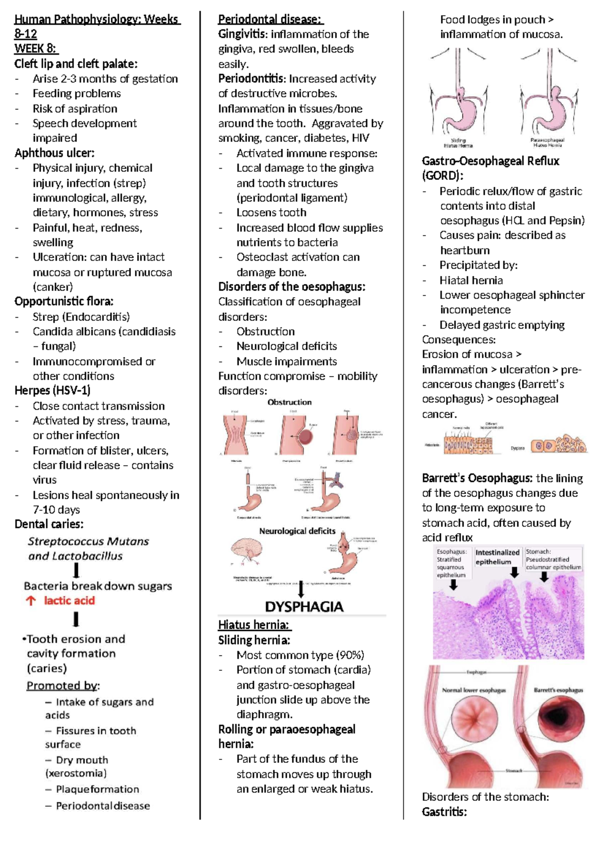 Human Pathophysiology: WEEK 8-9 Overview of Disorders and Conditions ...