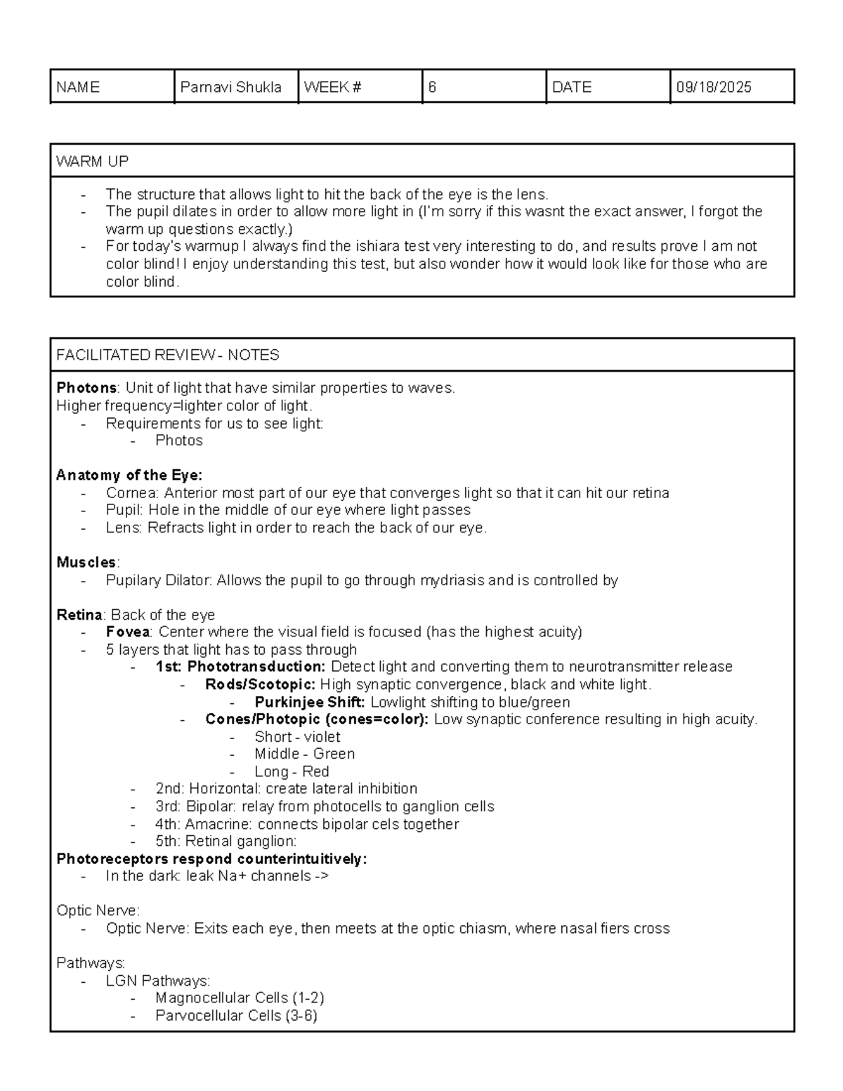 ZOOM Neuro Notes: Week 6 - Understanding Eye Anatomy & Perception - Studocu