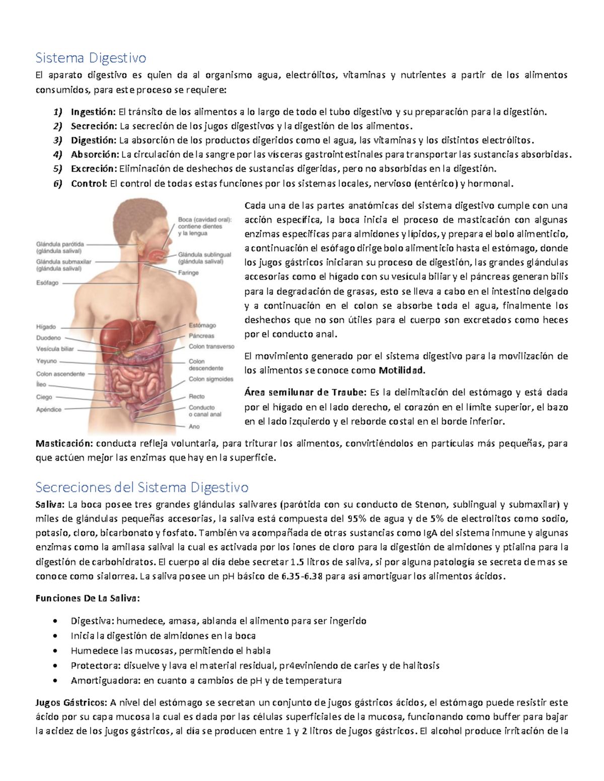 Sistema Digestivo - Resumen Human Physiology - Warning: TT: undefined function: 32 Warning: TT ...