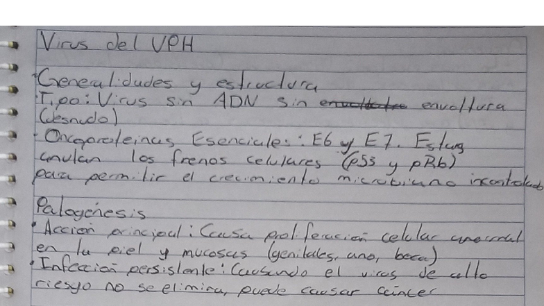 Virus del VPH: Generalidades y Estructura - Actividad Microbiología e ...