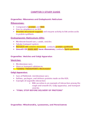 Unit 1 Medical Terminology Packet Lab Week 1 assignment - Unit 1 MedTerm Assignment (Chap 1-3 ...