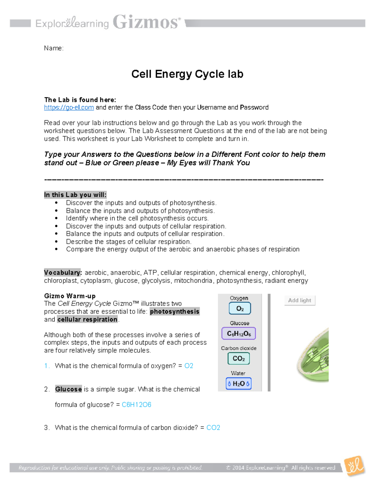 Cell Energy Cycle Lab WAVA: Photosynthesis & Respiration Analysis - Studocu