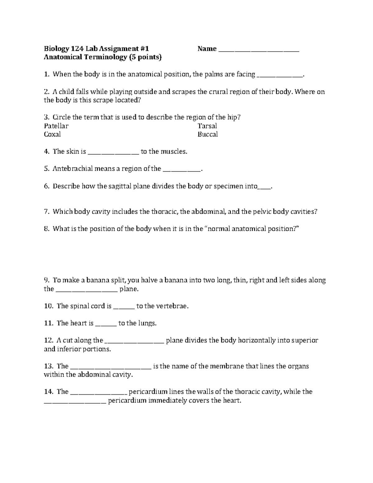 BIOL 124 Lab Assignment: Anatomical Terminology Overview - Studocu