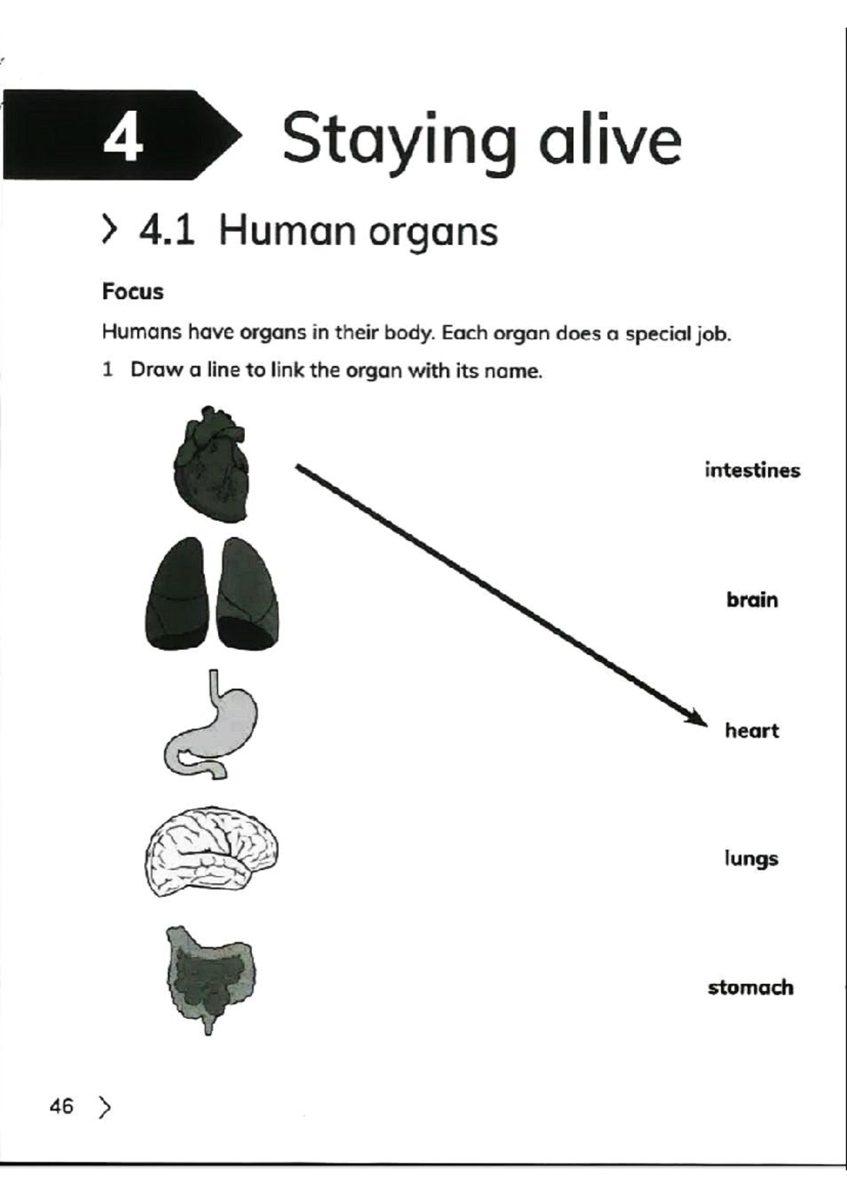 Science Cambridge Grade 3: Unit 4 - Staying Alive Study Notes - Studocu
