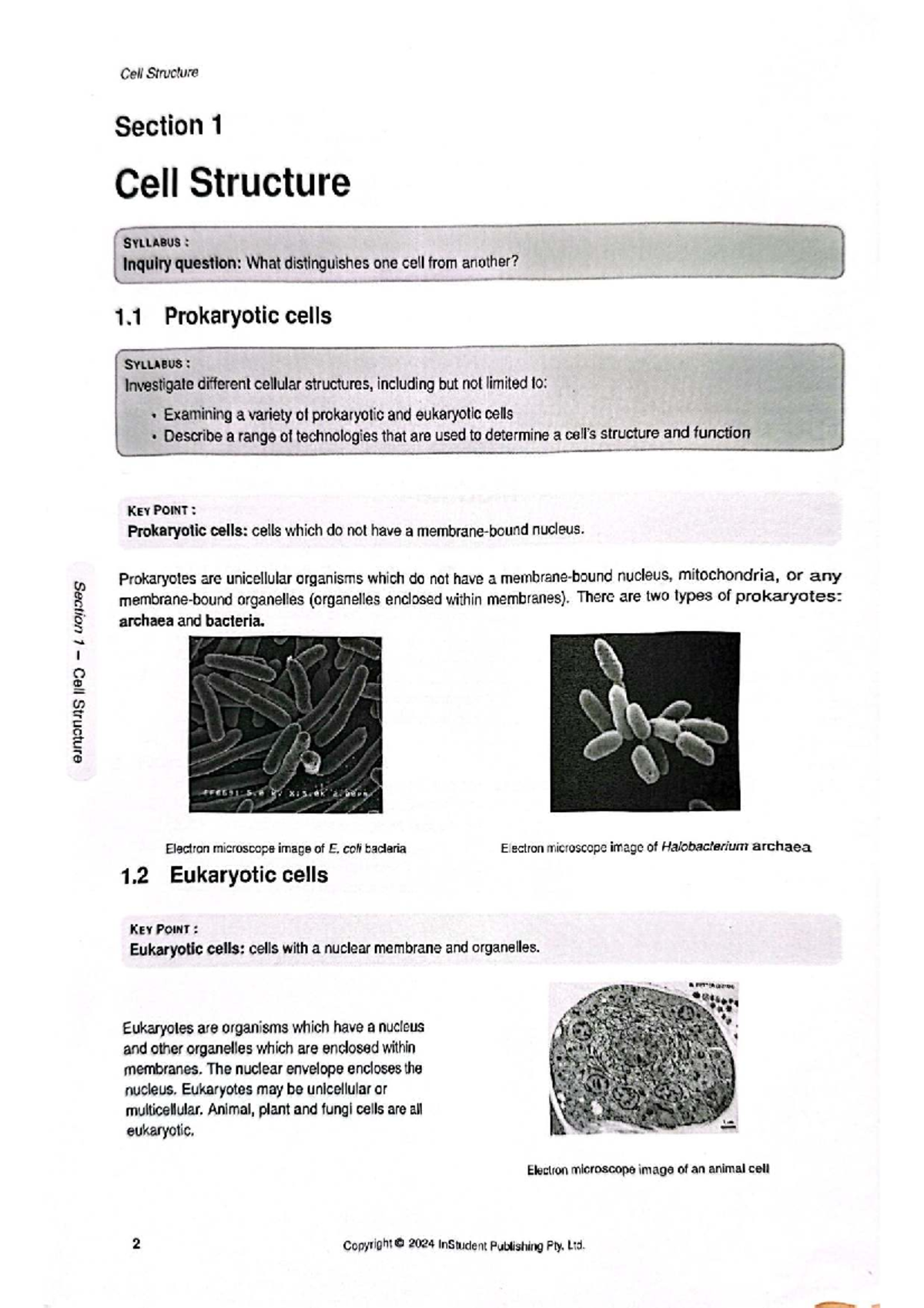 Cell Structure and Function: Prokaryotic & Eukaryotic Insights (BIO101) - Studocu
