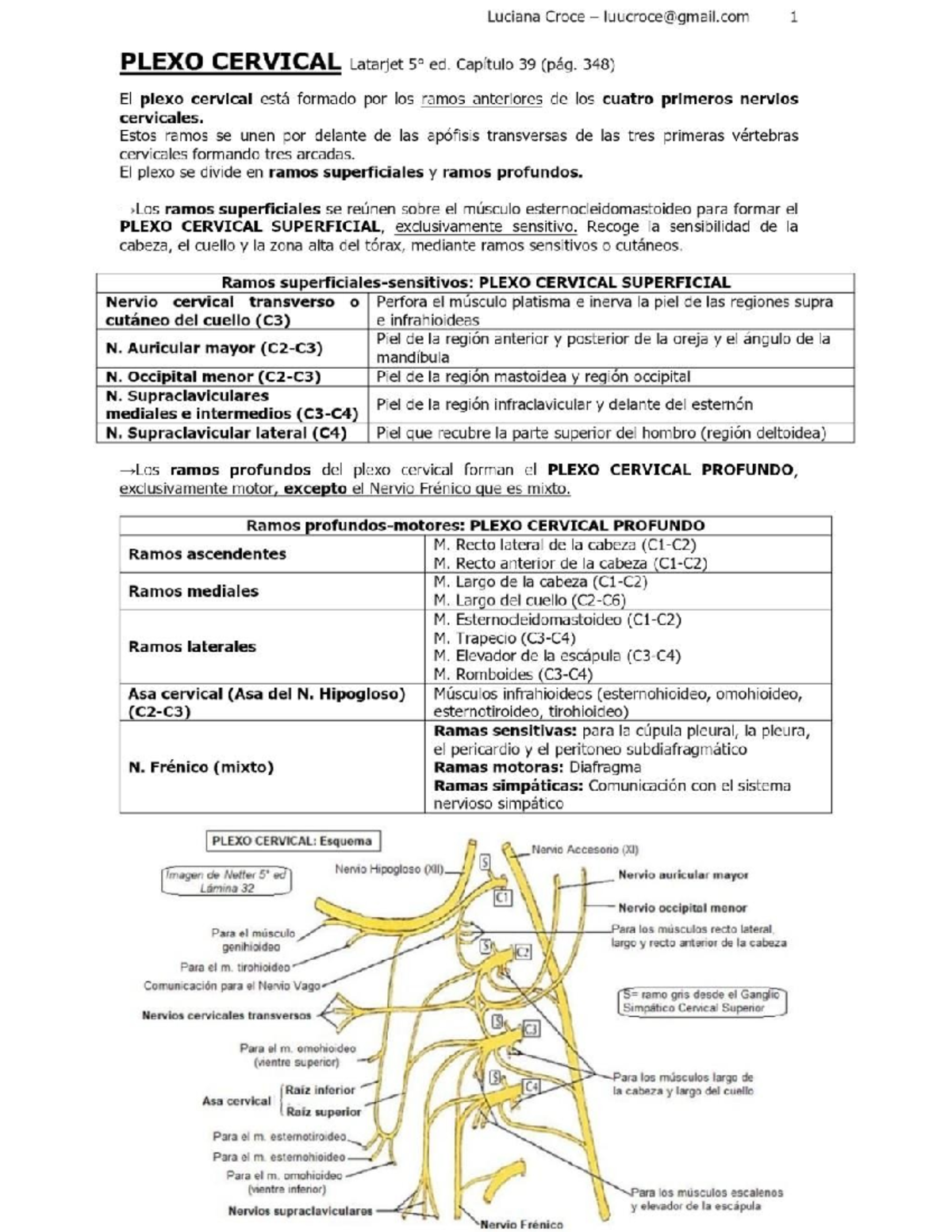 Resumen de Plexos Nerviosos: Cervical, Braquial, Lumbar y Sacro - Studocu