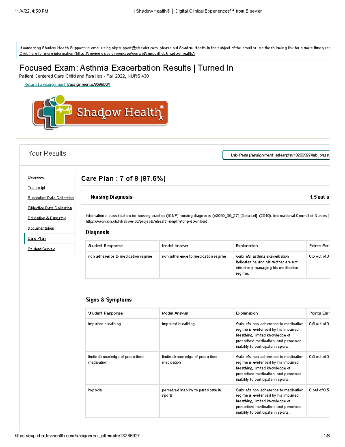 Gabriel Martinez Asthma Exacerbation Care Plan | NURS 430 Final Report ...