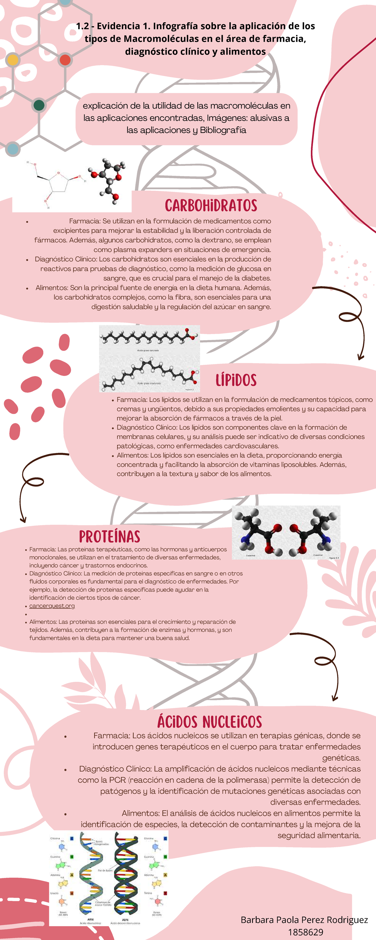 1.2 - Evidencia 1. Infografía sobre la aplicación de los tipos de Macromoléculas en el área de ...