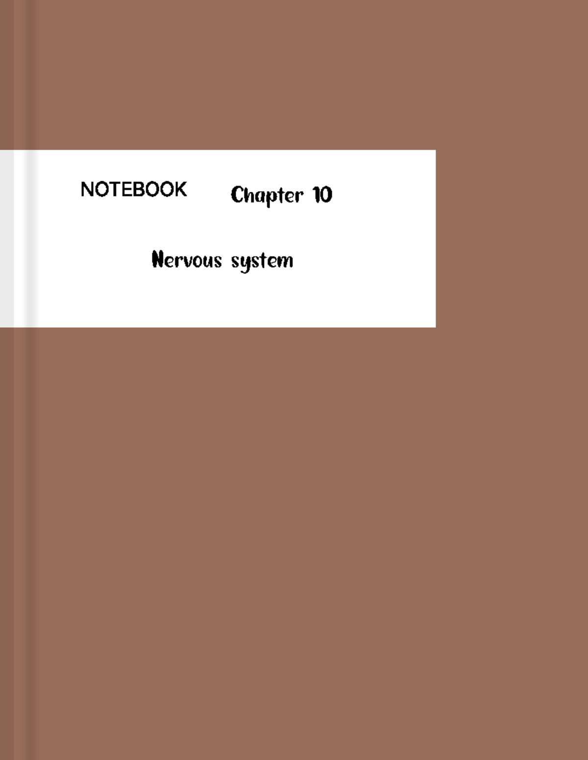 Nervous System Overview: Chapter 10 CNS & PNS Insights - Studocu