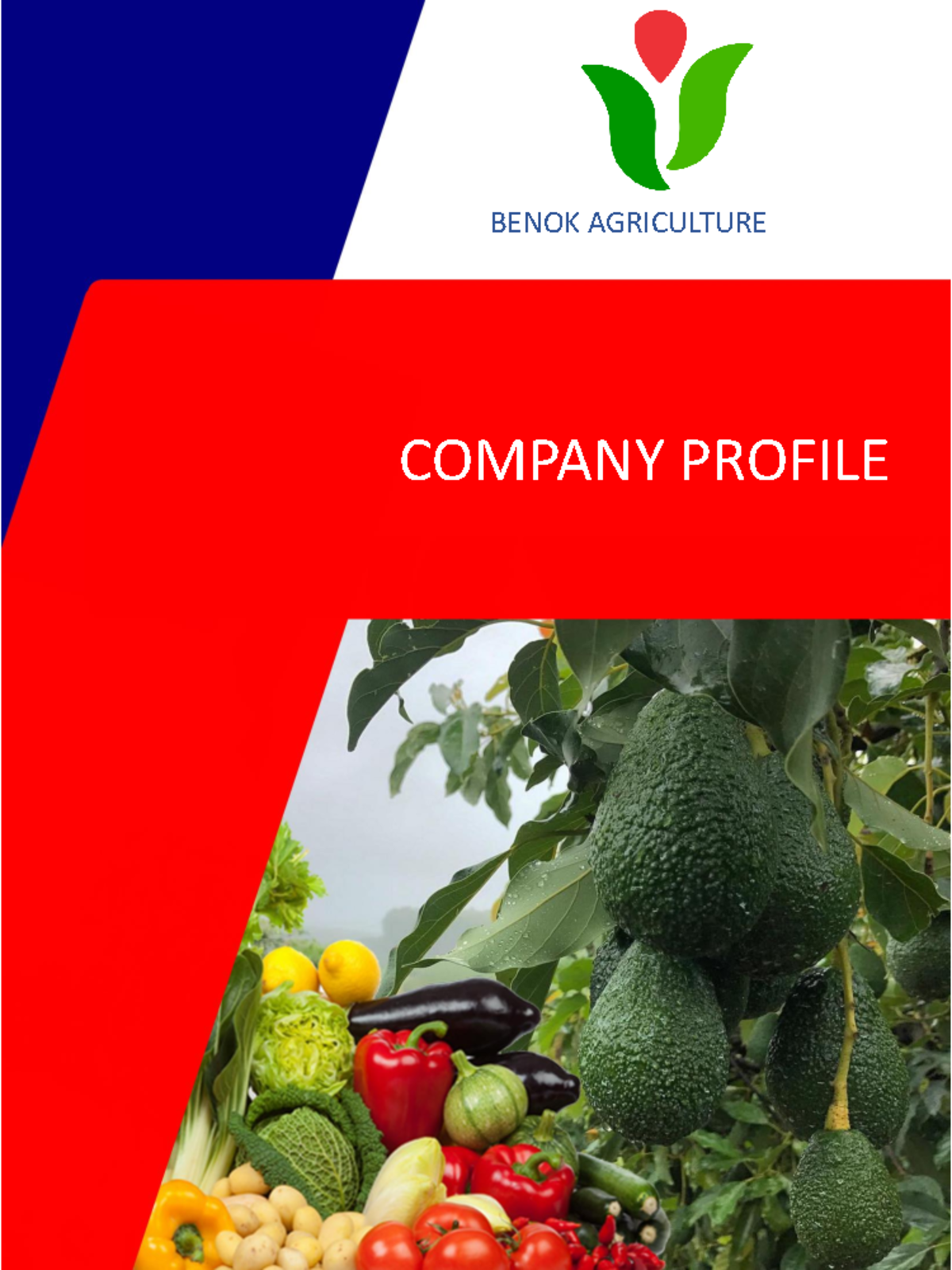 Company Profile Development: Benok Agriculture Overview - Studocu