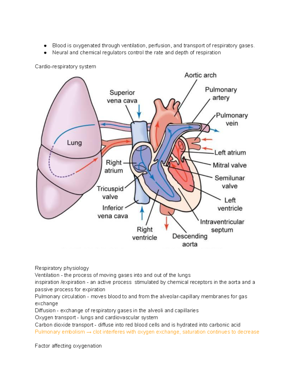 Oxygenation & Cardio-Respiratory System Overview for HLT 4200 - Studocu