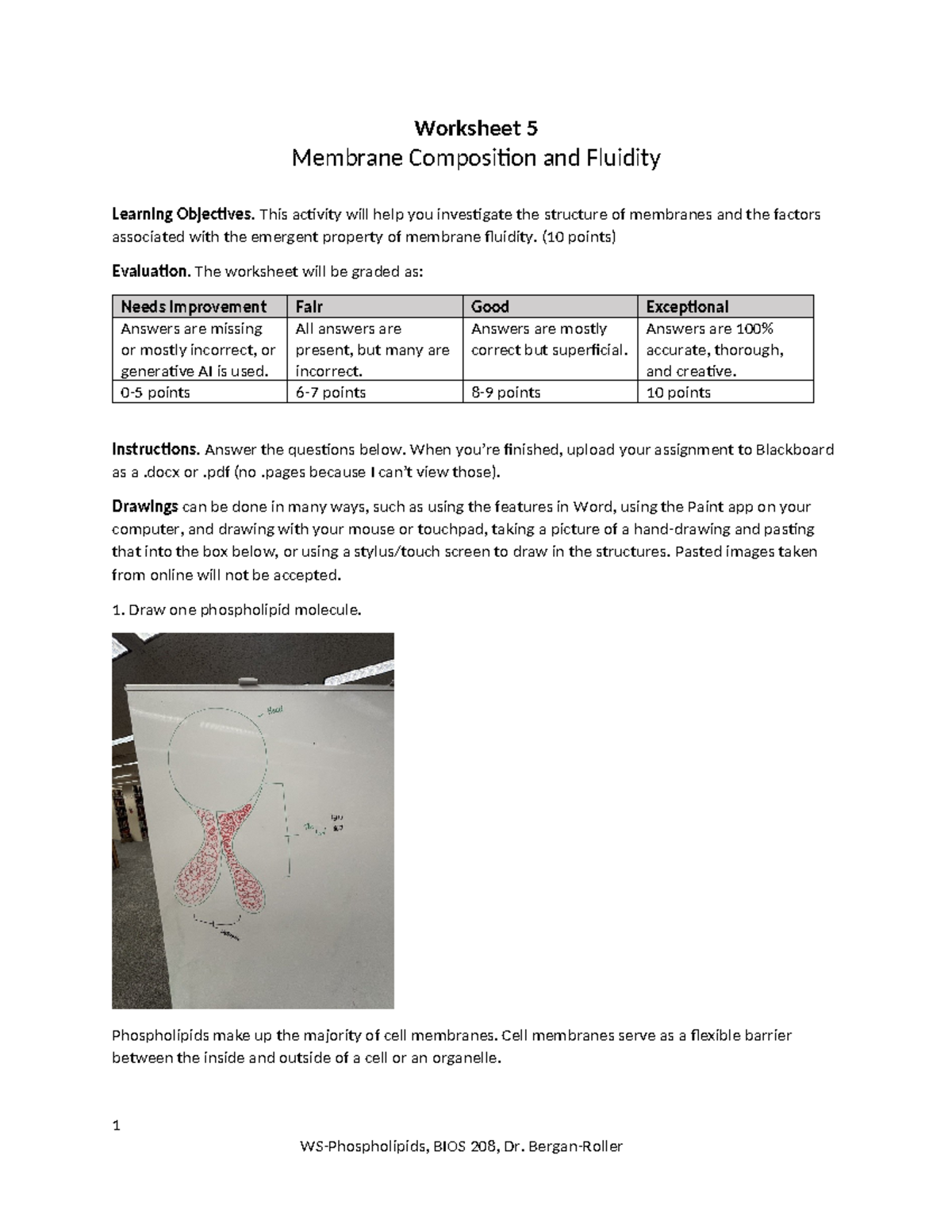 Worksheet 5: Membrane Composition & Fluidity - BIOS 208 - Studocu