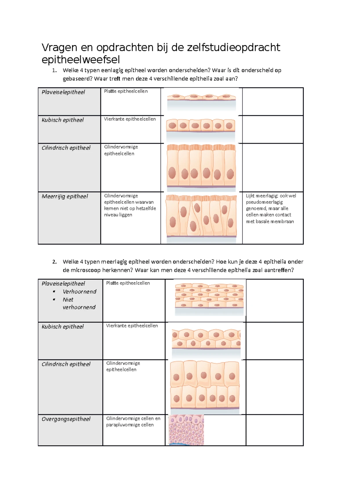 ZS 1.2 &1.4 Bouw en functie van epitheliale weefsels - 1 Voorbereiding ...