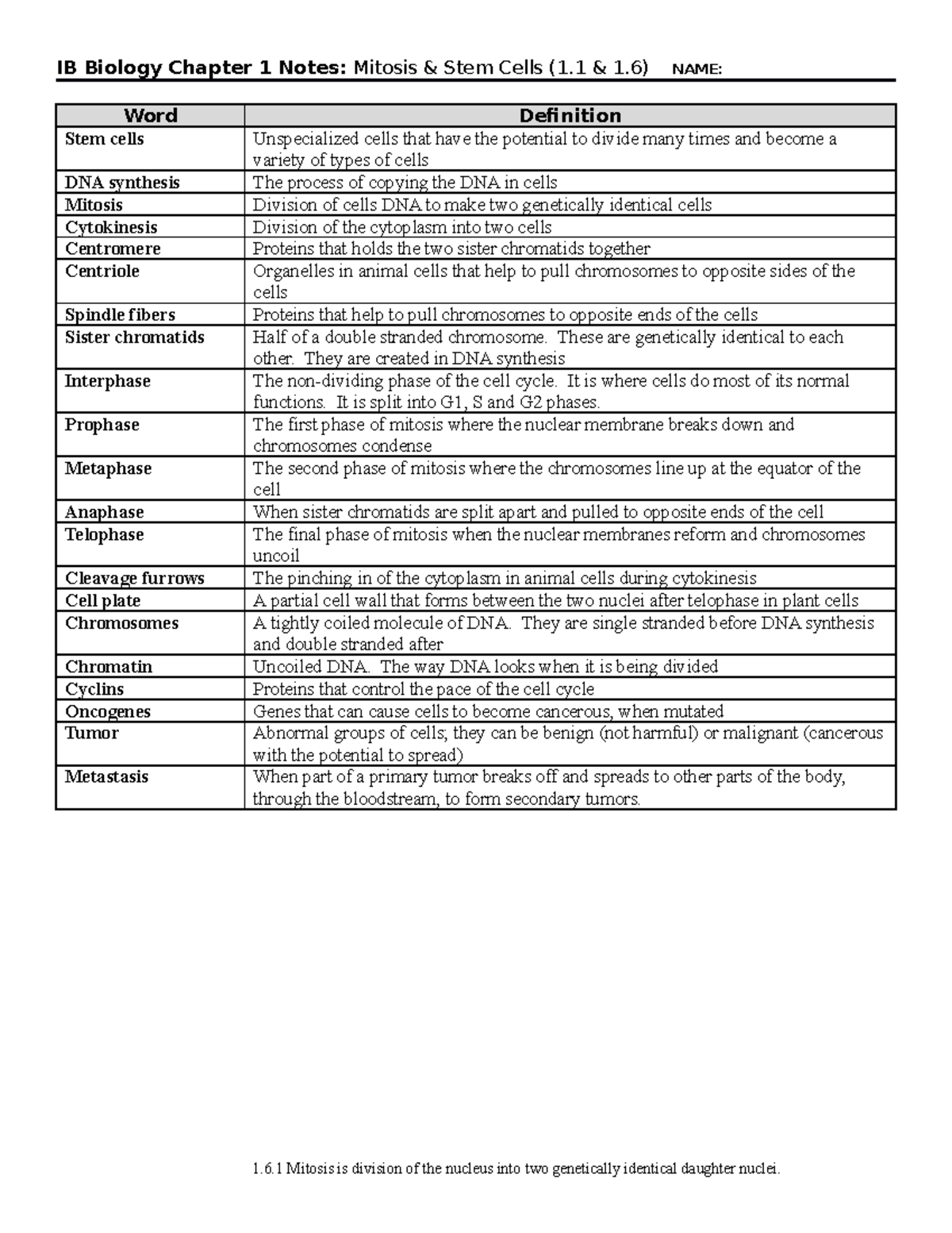 Mitosis & Stem Cells (1.1 & 1.6) - IB Biology Chapter 1 Notes: Mitosis ...