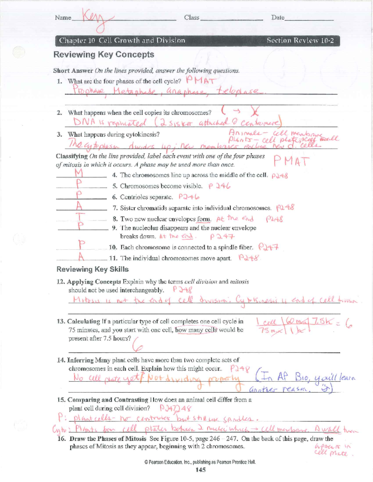 Chapter 10 Cell Growth & Division: Section Review Key (Biology 10-2 ...