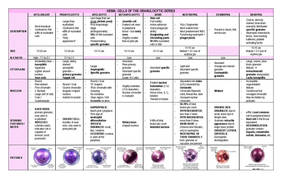 Hema 2 - Clinical Significance Tables for Hemostasis & Coagulation ...