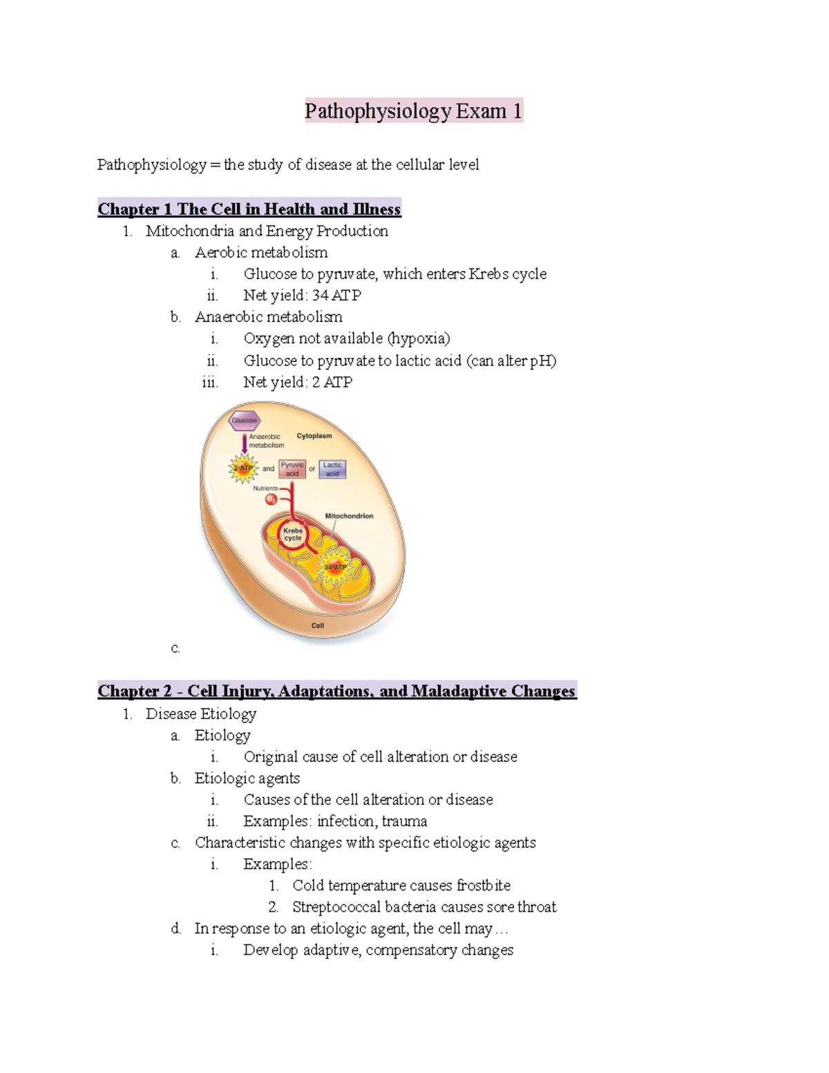 Exam 1 Overview: Pathophysiology Key Concepts and Terms - Studocu