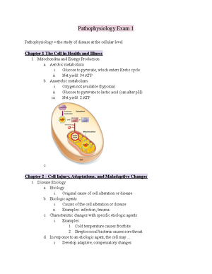 [Solved] Chapter 14 Case Study Questions Nervous System Disorders ...