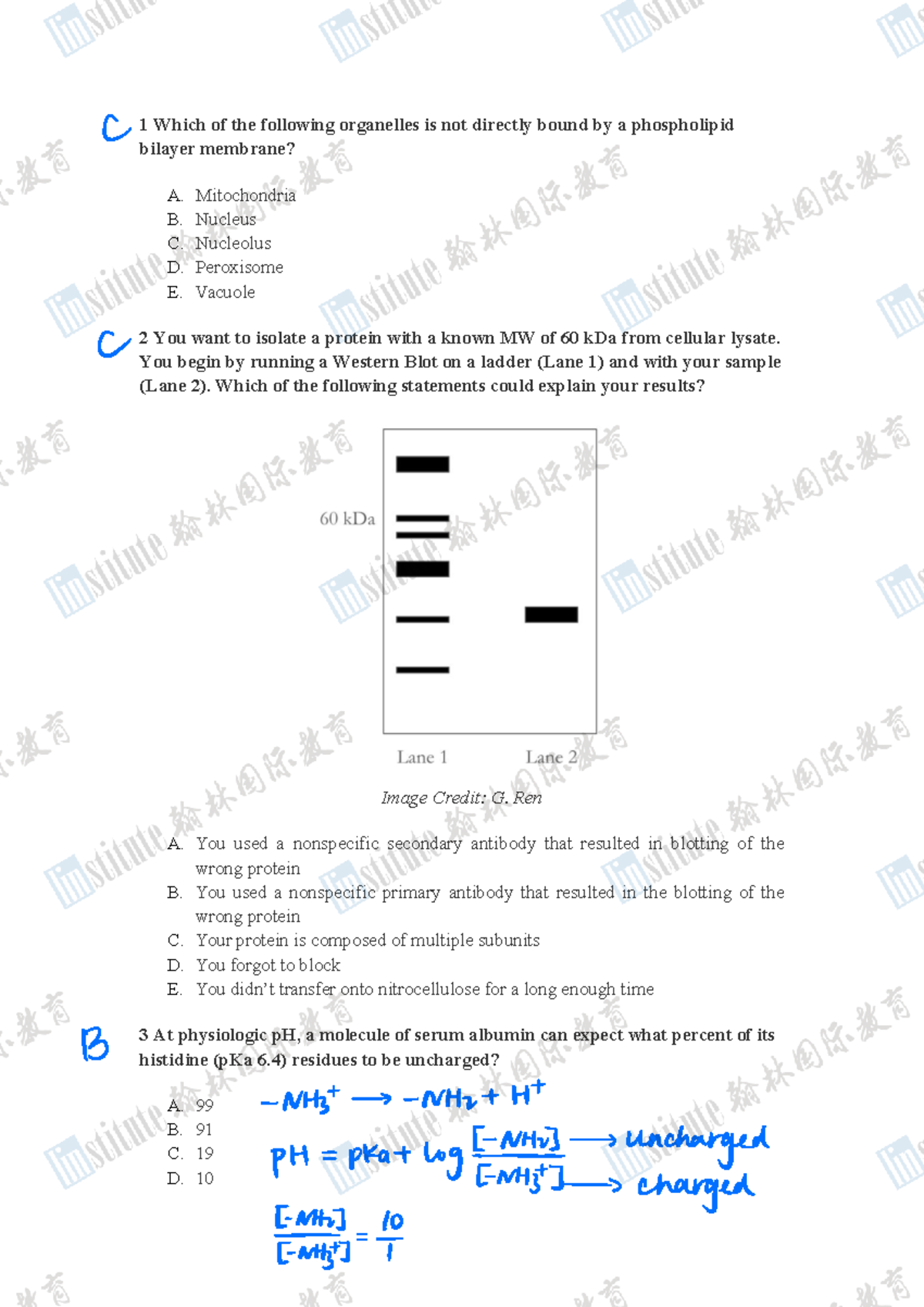 USABO 2024 Exam Questions & Answers Compilation - Final Exam - Studocu