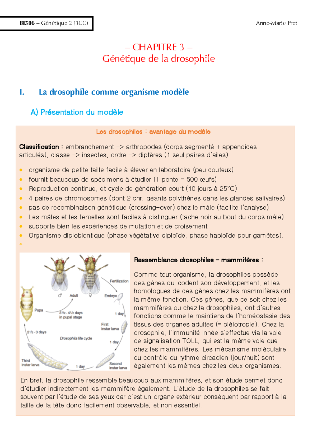 Génétique de la drosophile - Phylogénie et génétique comparée - UVSQ ...